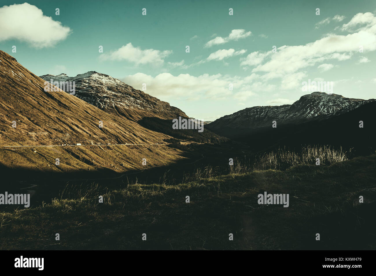 Scotland city night park tree hi-res stock photography and images - Alamy