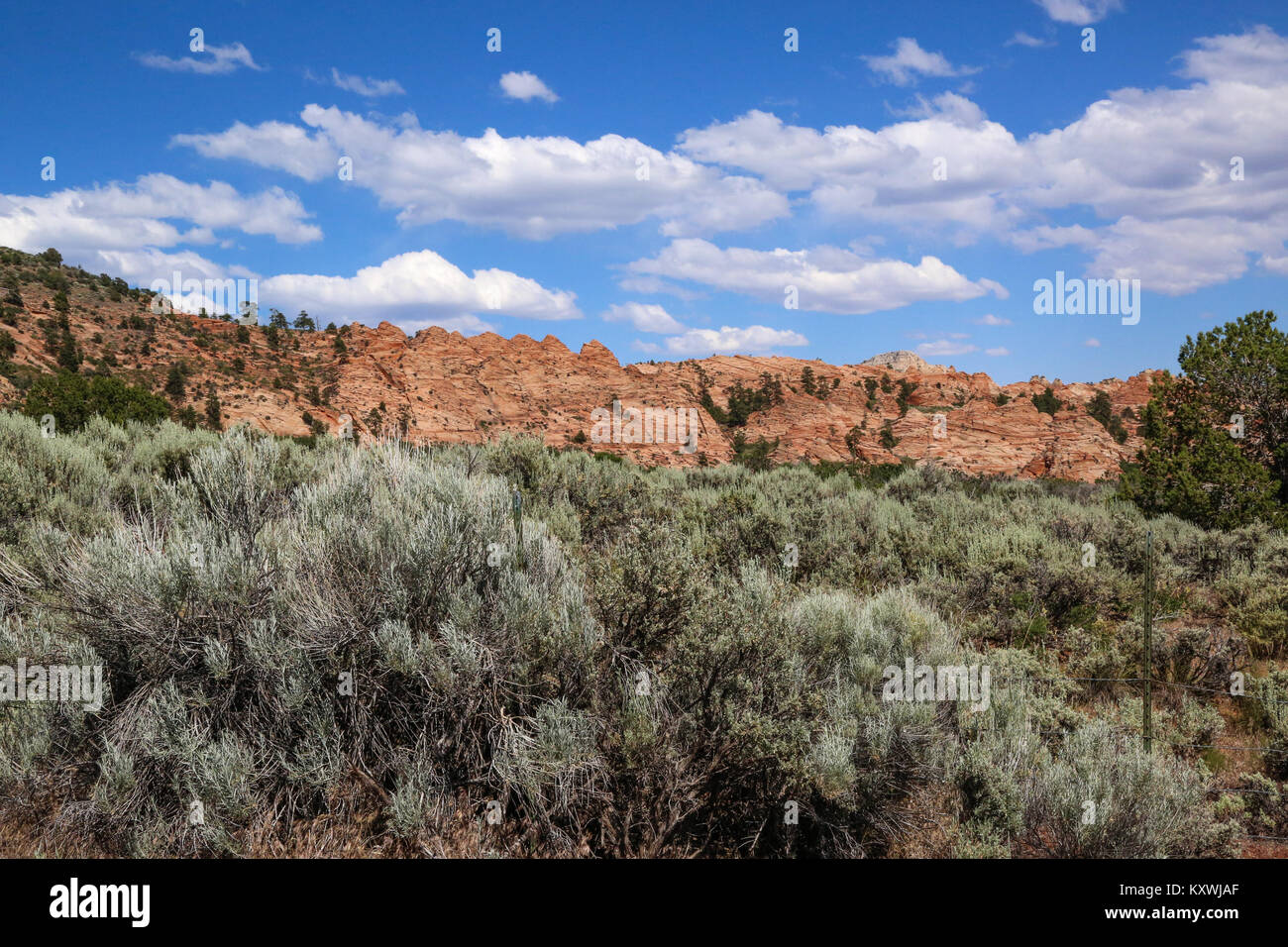 A scene from the Kolob Terrace Road on the west side of Zion National ...