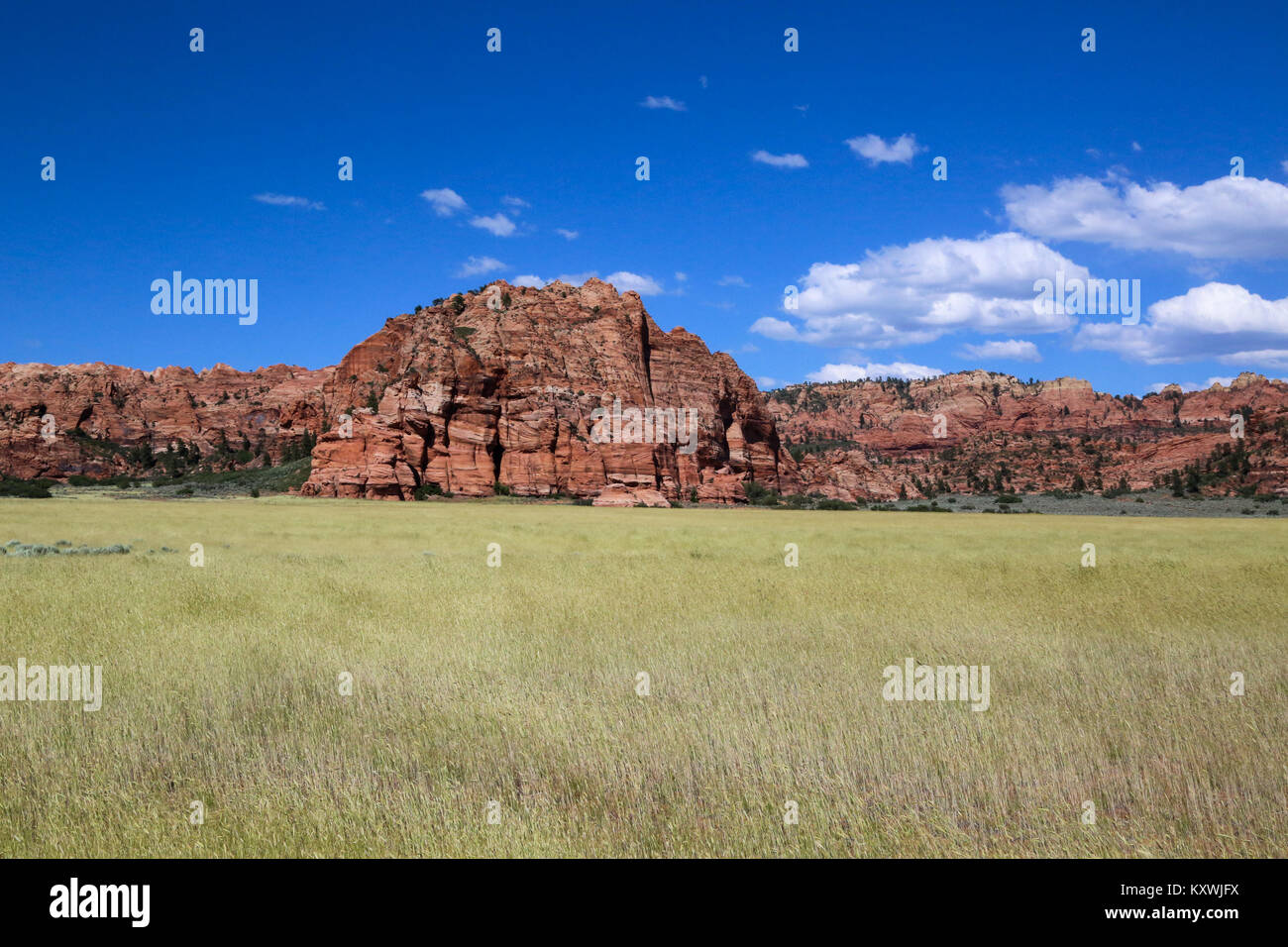A scene from the Kolob Terrace Road on the west side of Zion National ...