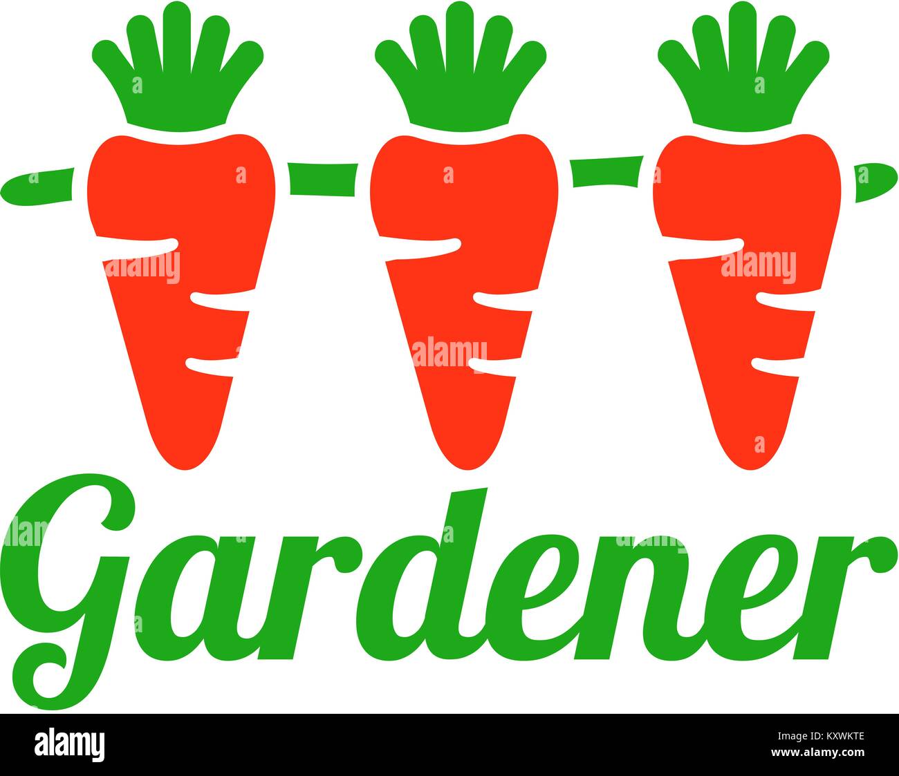 Gardener with three orange carrots Stock Photo - Alamy