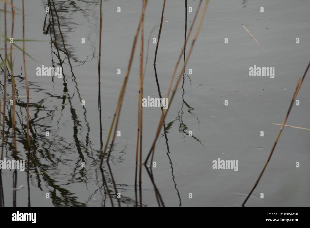 Ripple river hi-res stock photography and images - Alamy