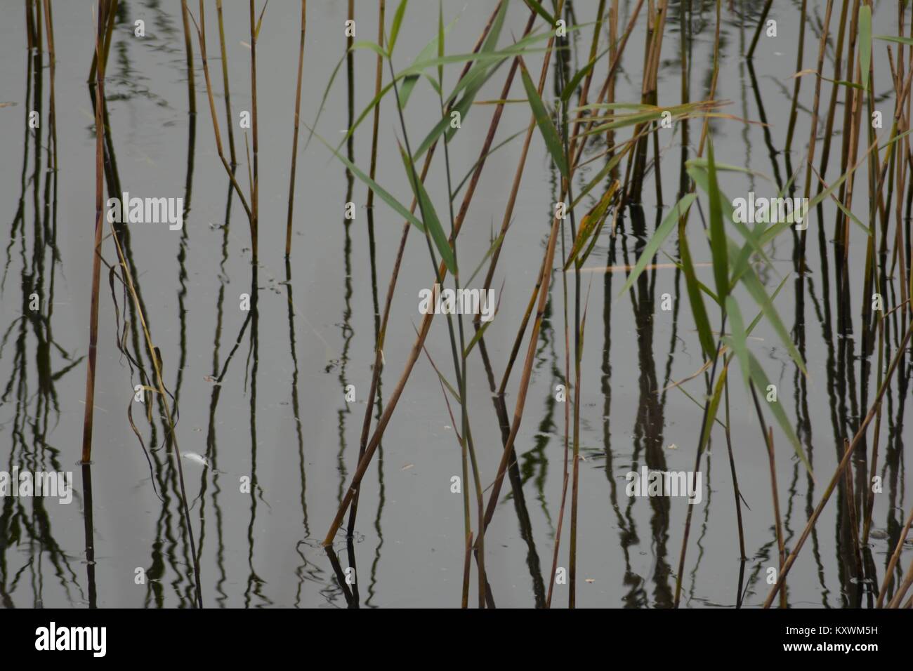 Ripple river hi-res stock photography and images - Alamy