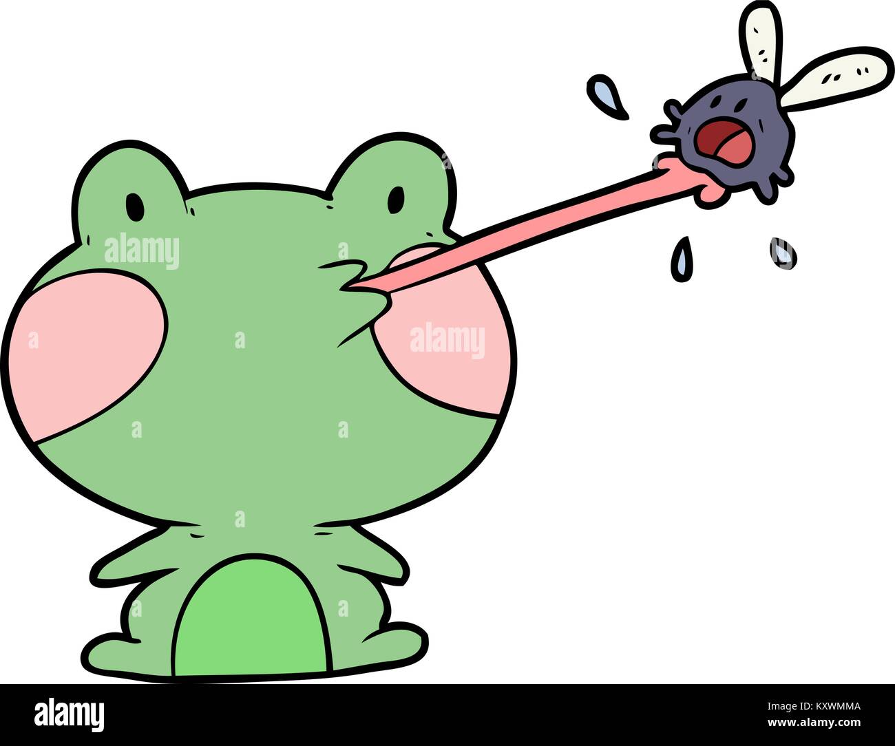 Fly eating toad hi-res stock photography and images - Alamy