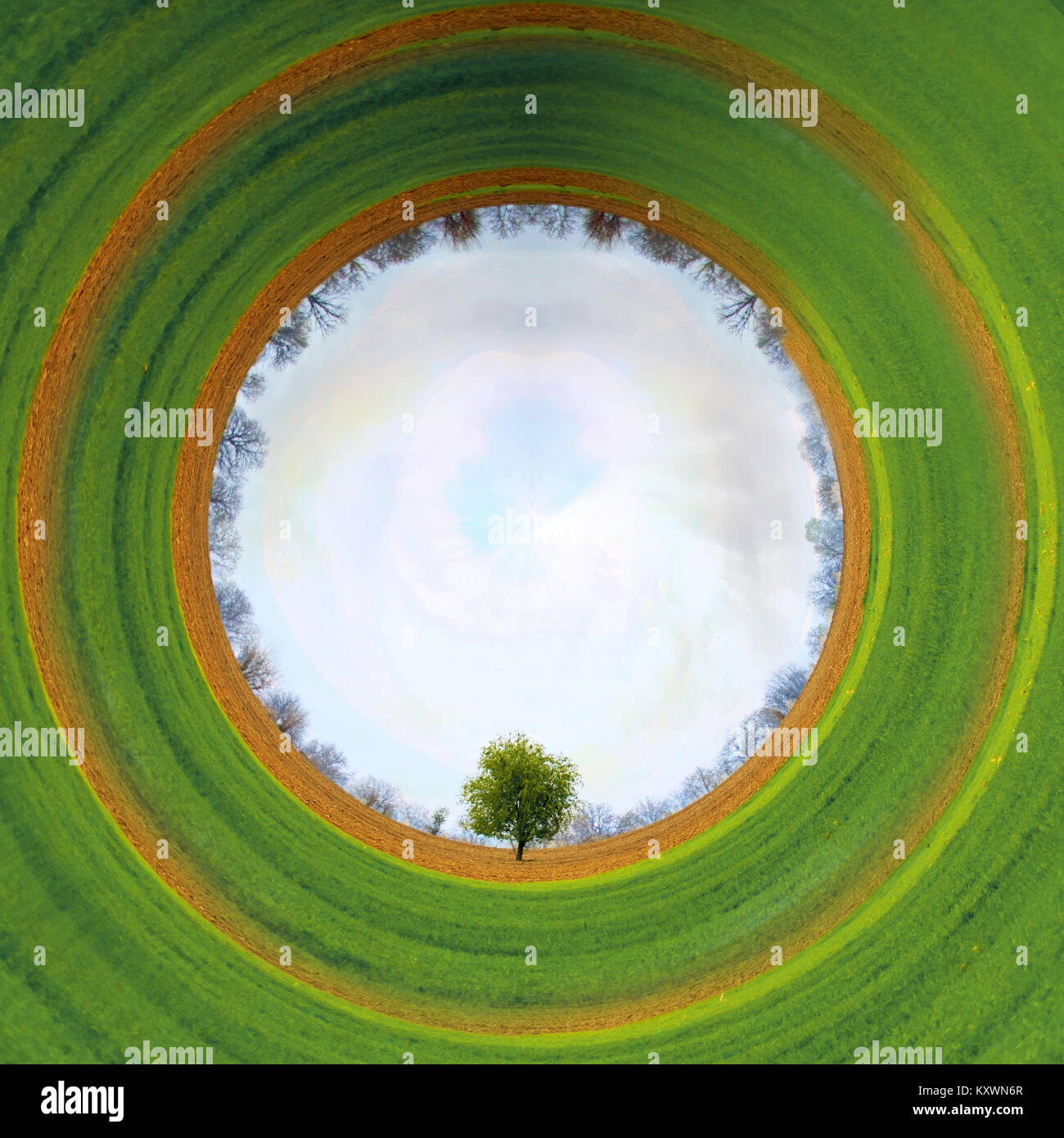 the concept of a small planet with small tree on it, clear blue sky ...