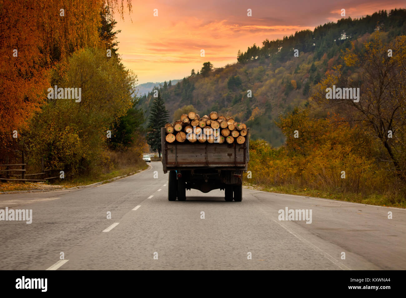 Lumber roads hi-res stock photography and images - Alamy