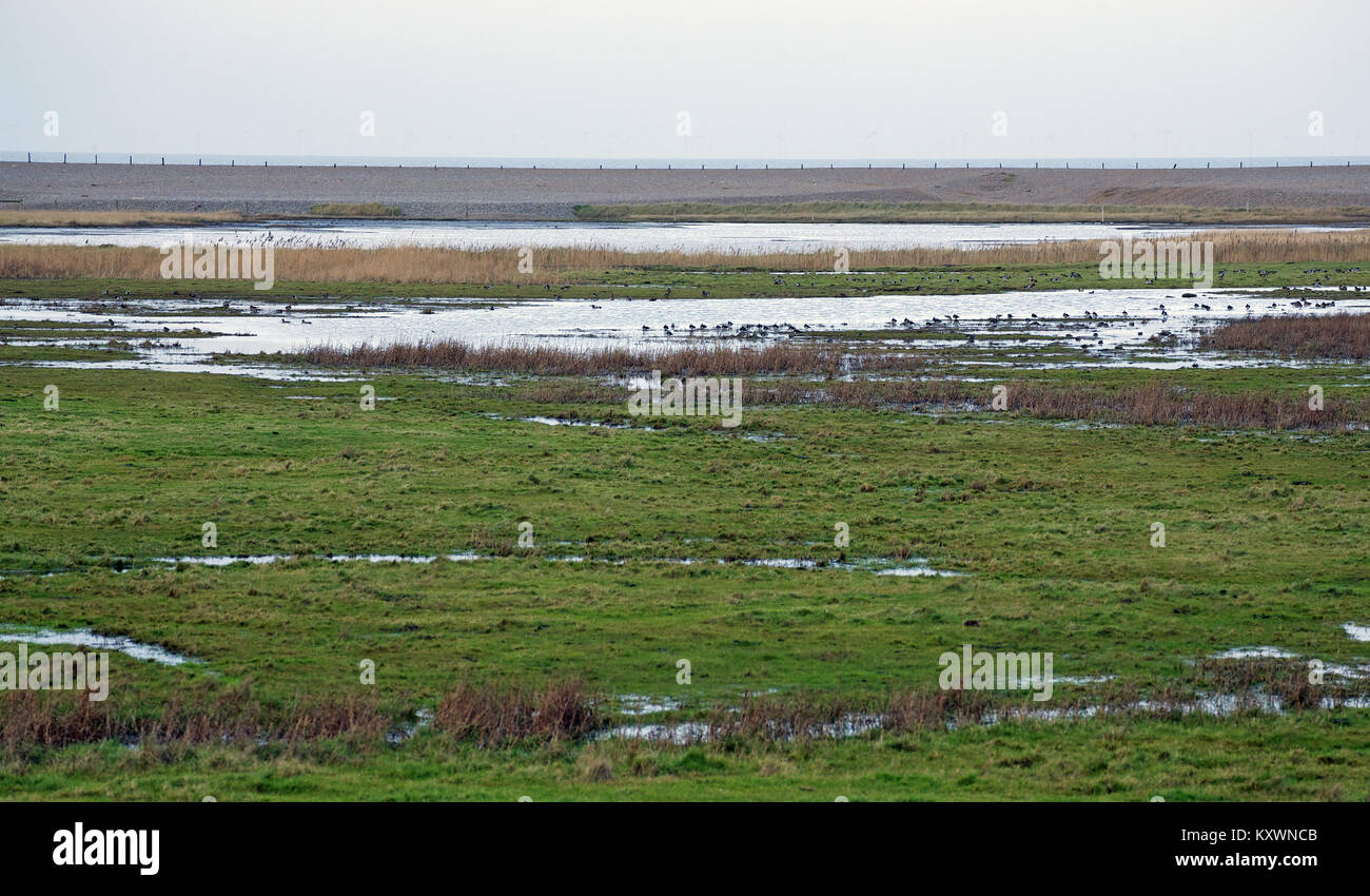 Coast salthouse hi-res stock photography and images - Alamy