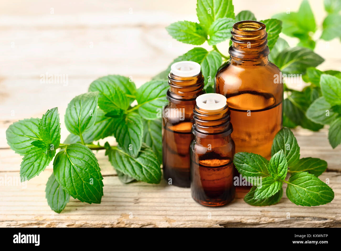 Amber leaf hi-res stock photography and images - Alamy