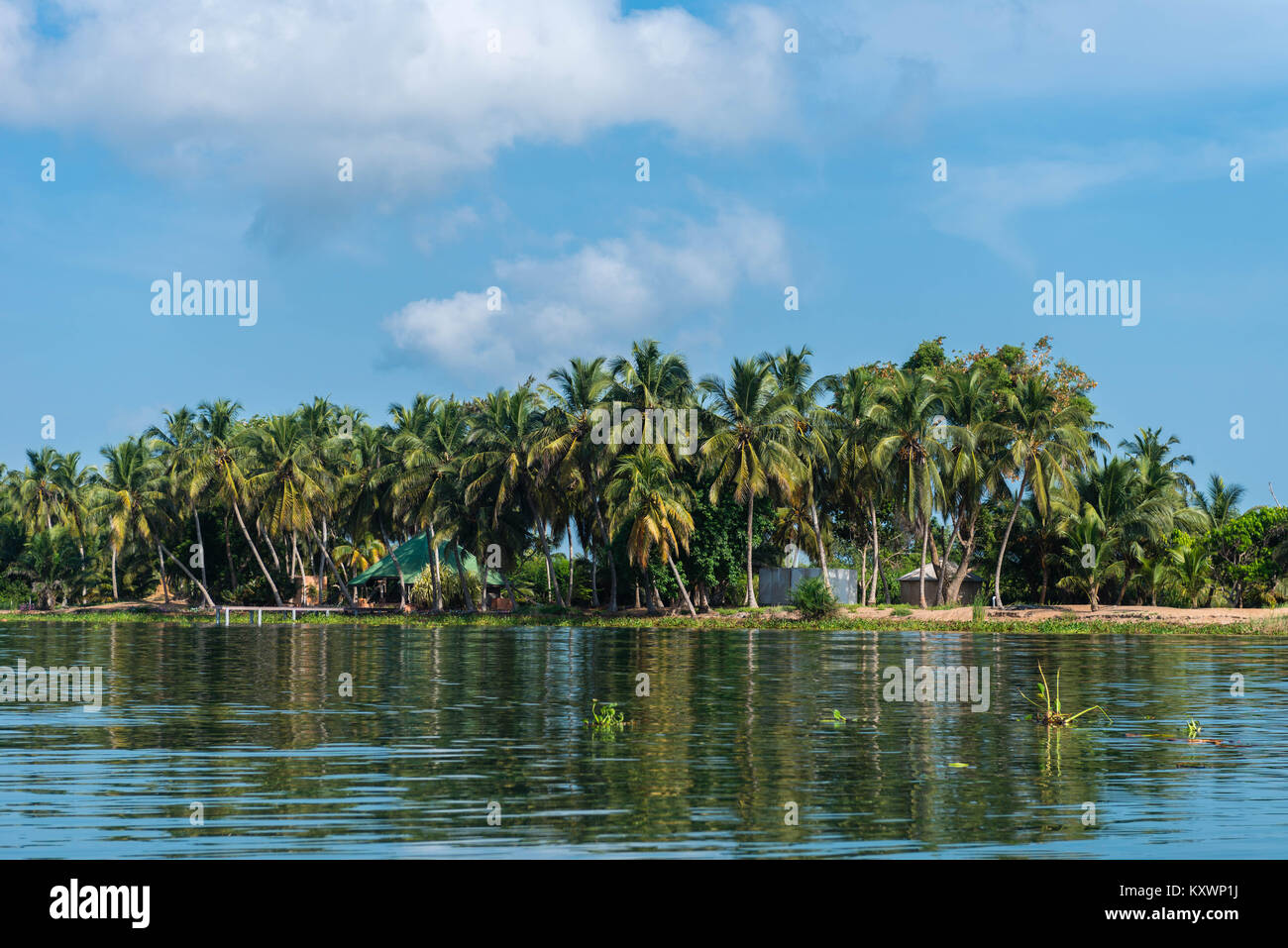 Ada Foah High Resolution Stock Photography and Images - Alamy