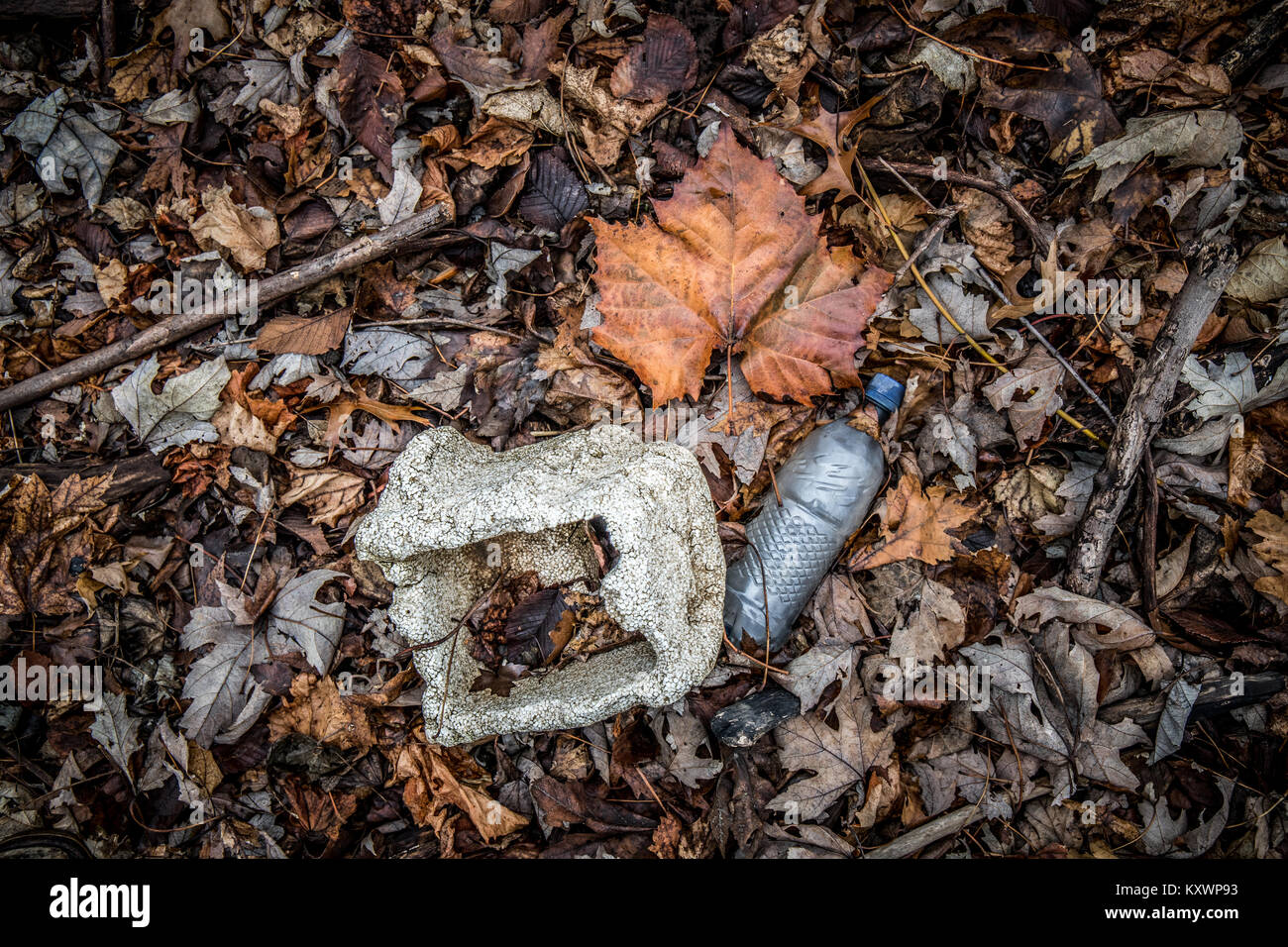 Trash in forest hi-res stock photography and images - Alamy