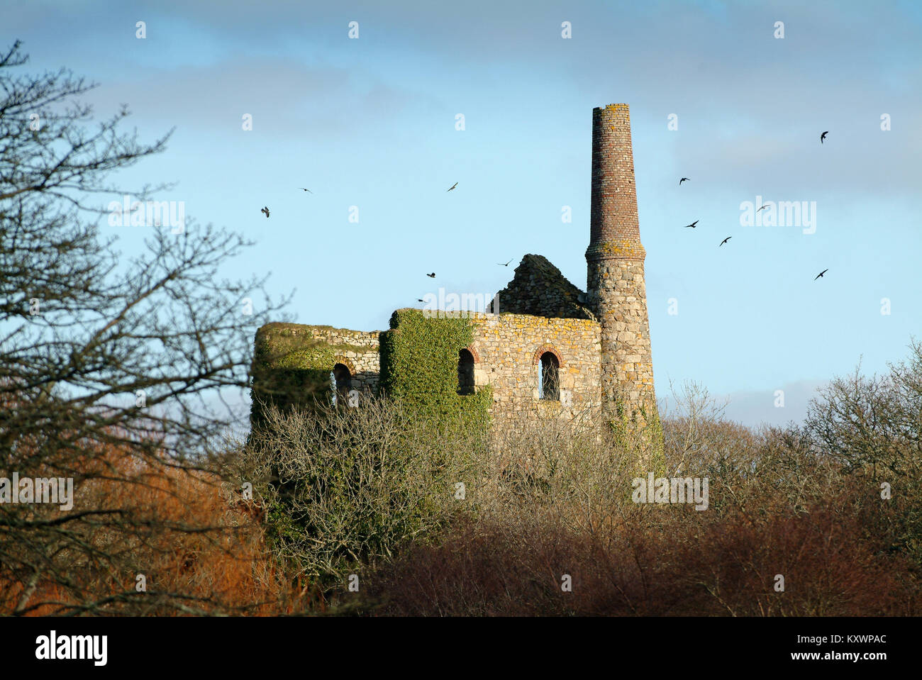 An old Cornish tin mine Stock Photo - Alamy