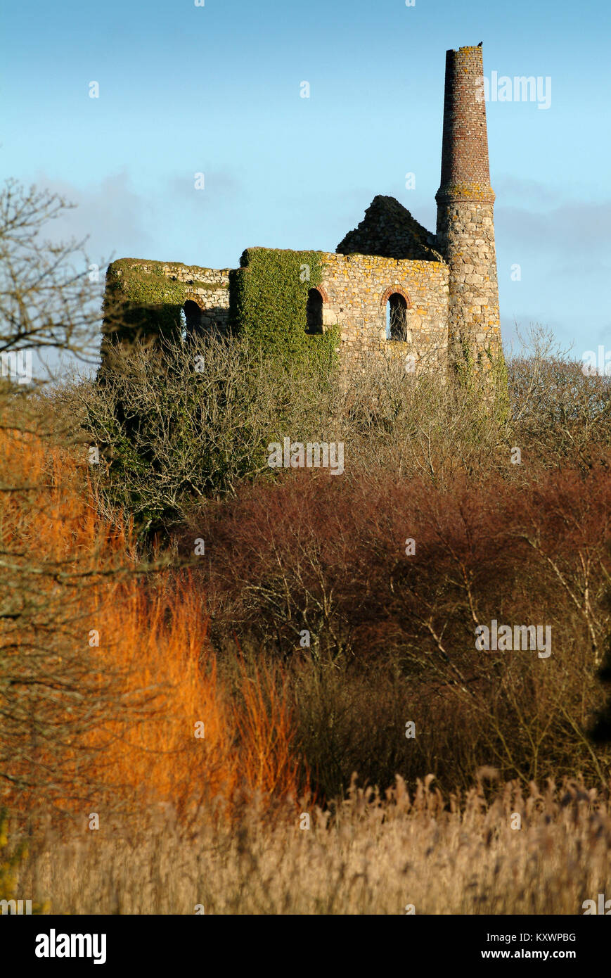 An old Cornish tin mine Stock Photo - Alamy