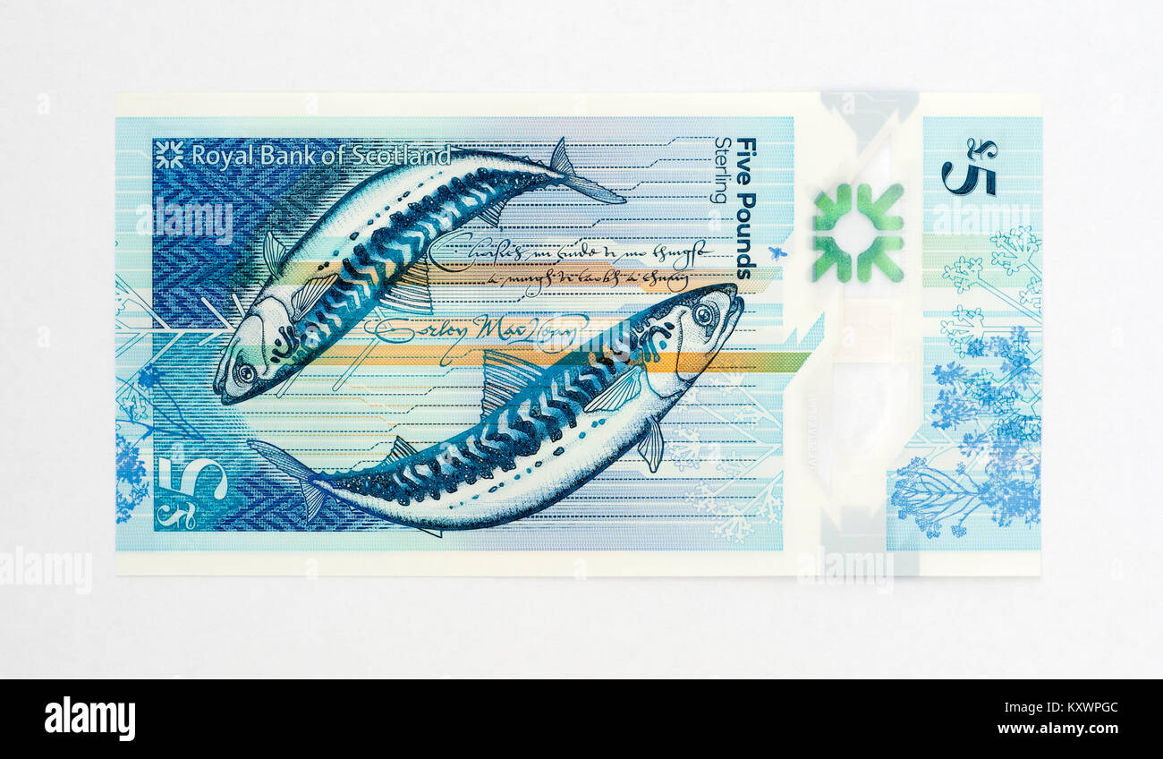 Royal Bank of Scotland RBS 5 Pounds bank note Stock Photo - Alamy