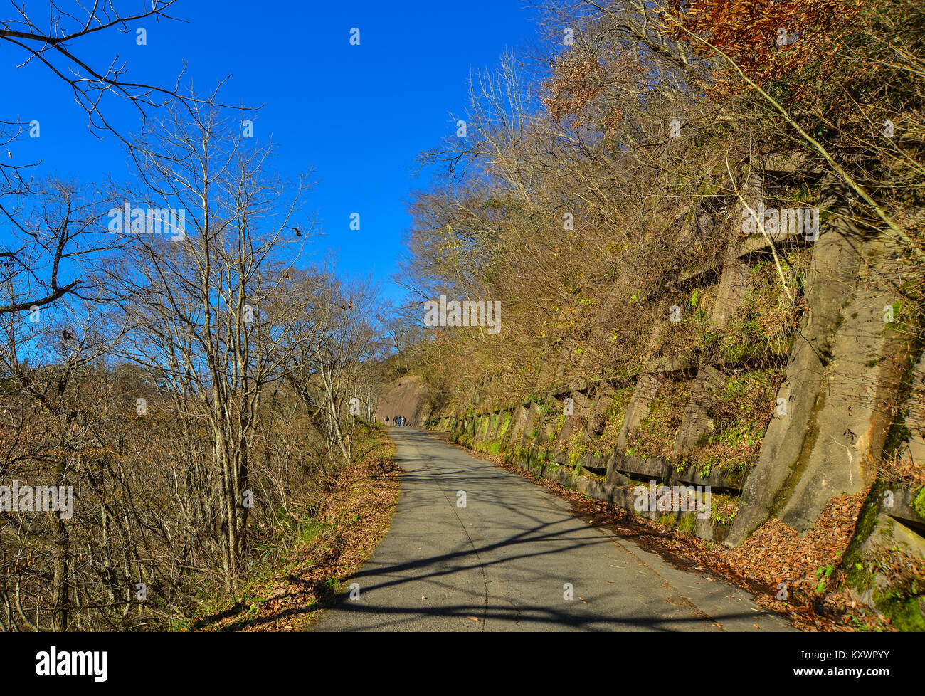 Nikko highway hi-res stock photography and images - Alamy