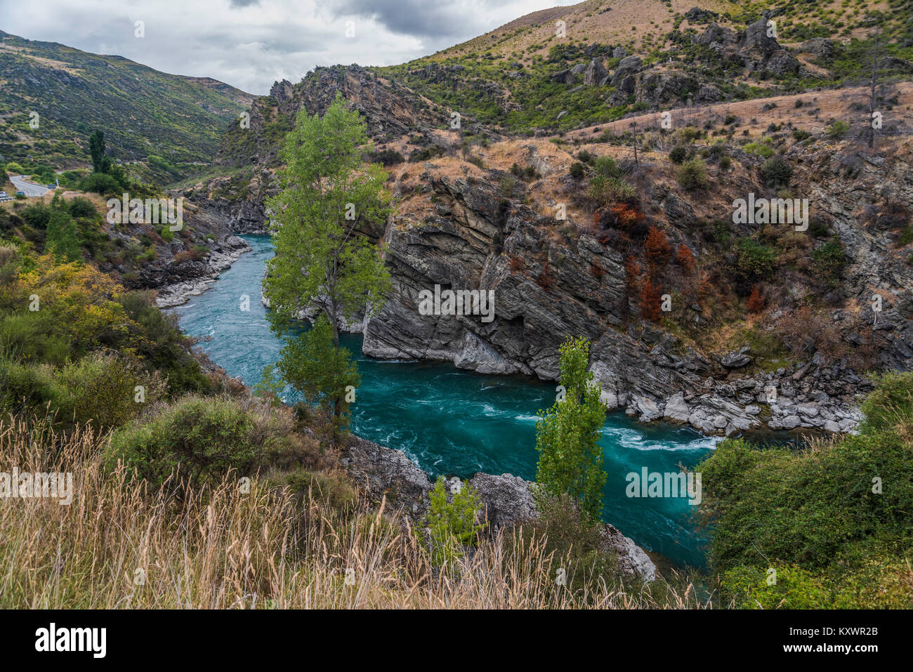 Exploring The Magnificent Kawarau Gorge, New Zealand – IAHPB