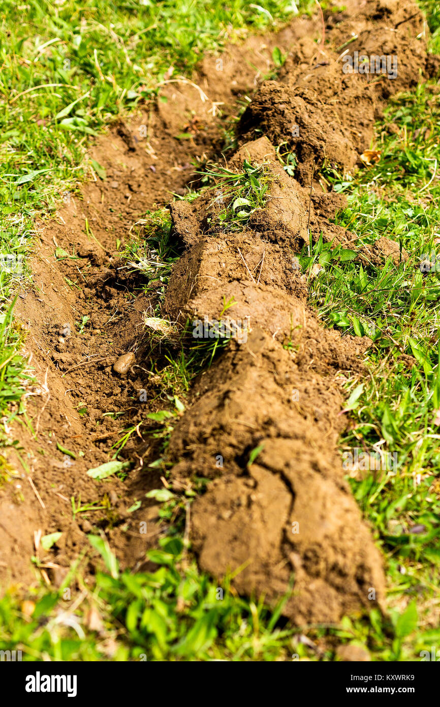 Trench in the field Stock Photo - Alamy