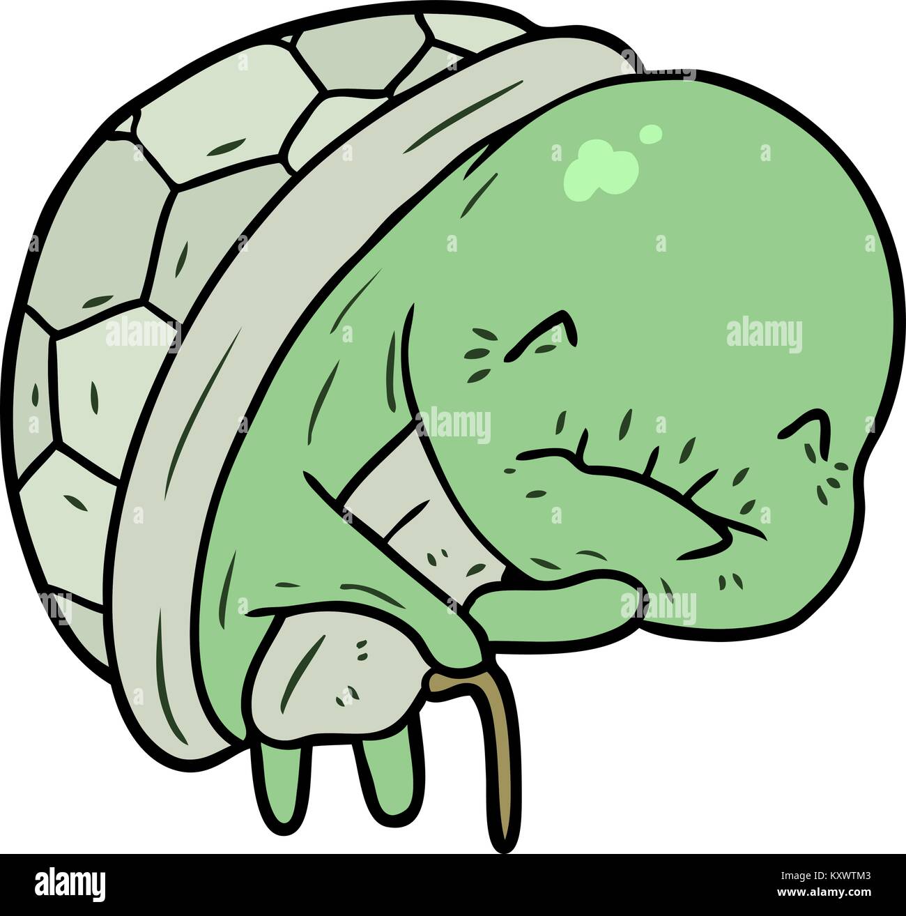 cute cartoon old turtle with walking stick Stock Vector Image & Art - Alamy