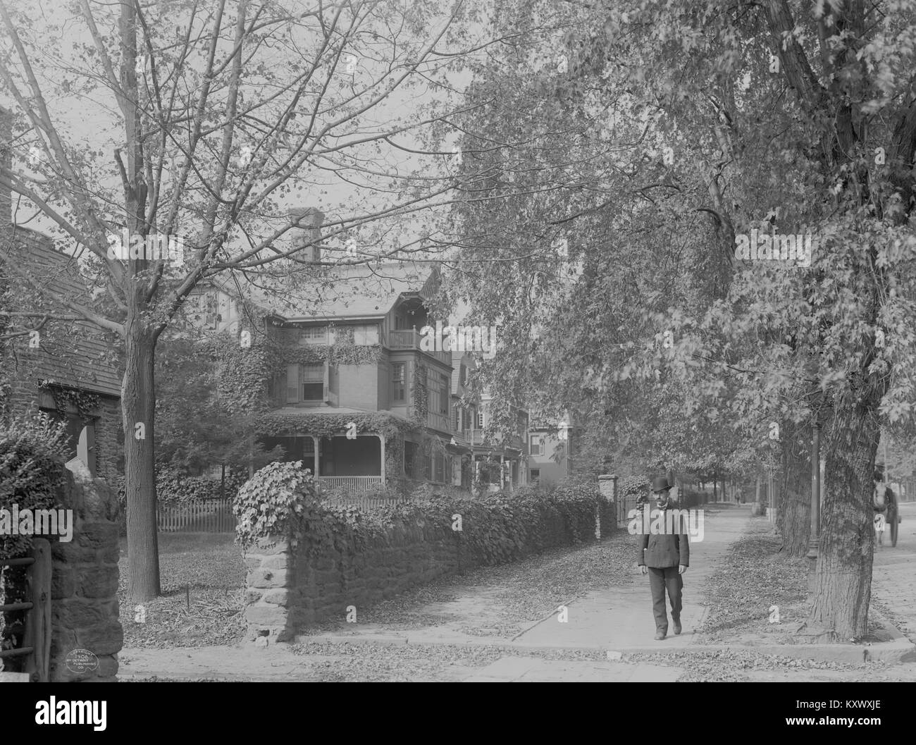 Renard martin hi-res stock photography and images - Alamy