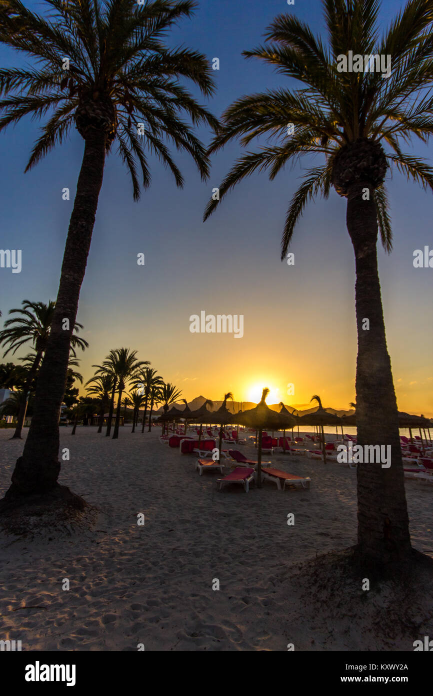 Palm tree spanish coastline hi-res stock photography and images - Alamy