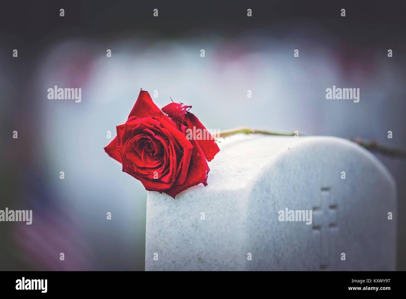 National Cemetery, Shelby County, Alabama Stock Photo - Alamy