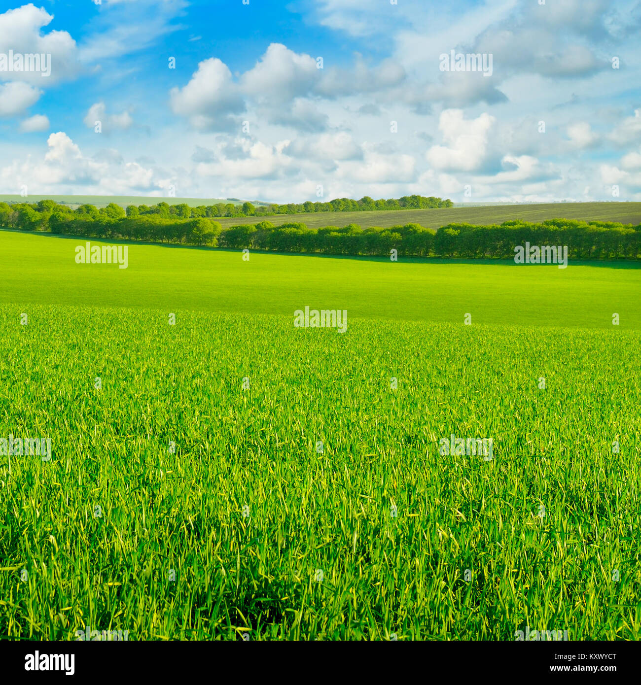 green field and blue sky with clouds Stock Photo - Alamy