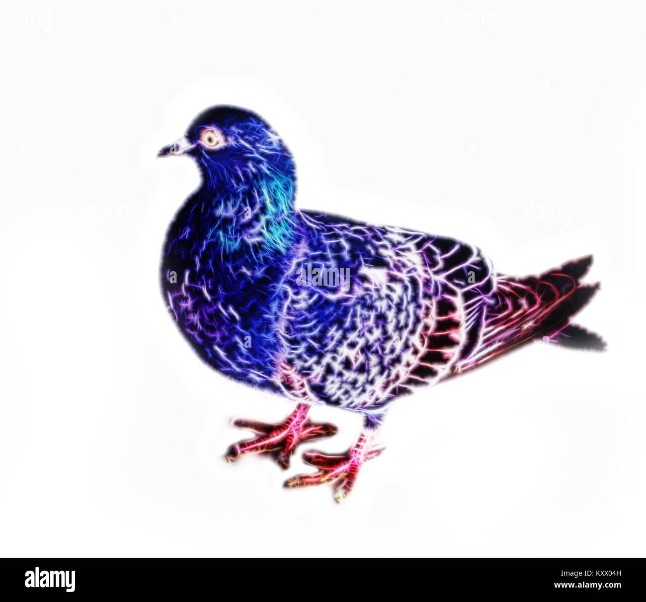 computer generated pigeon. bird abstract fractal on white background ...