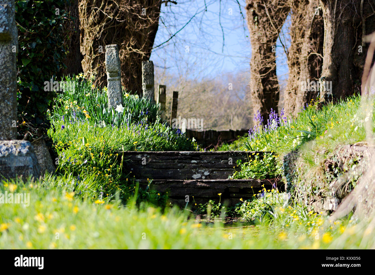 An old English graveyard in the in the sun Stock Photo - Alamy