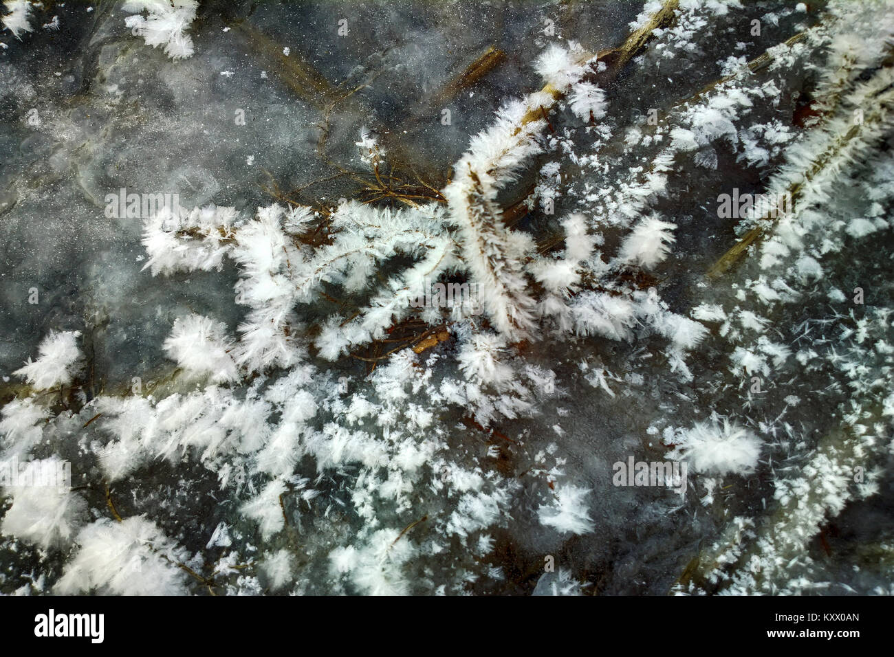 sea ice background close-up. structure icing Stock Photo - Alamy