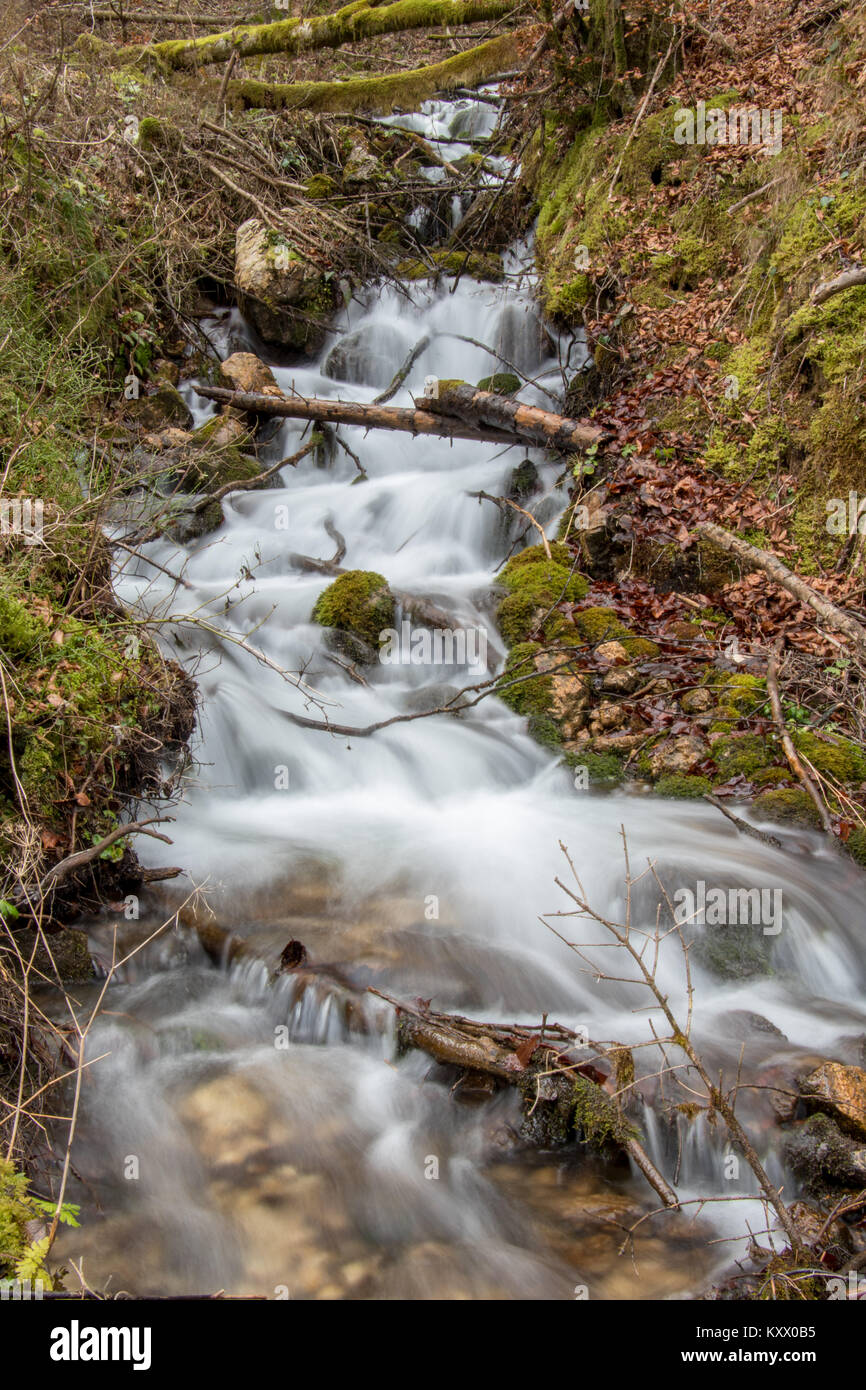 cascade in the forest Stock Photo - Alamy