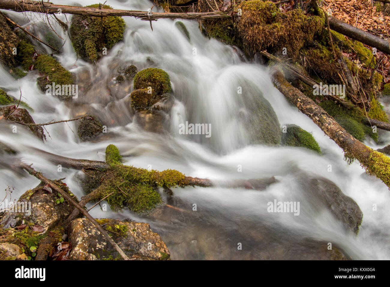 small cascade close up Stock Photo - Alamy