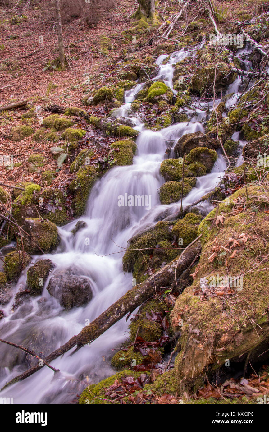 water flowing over moss in nature Stock Photo - Alamy