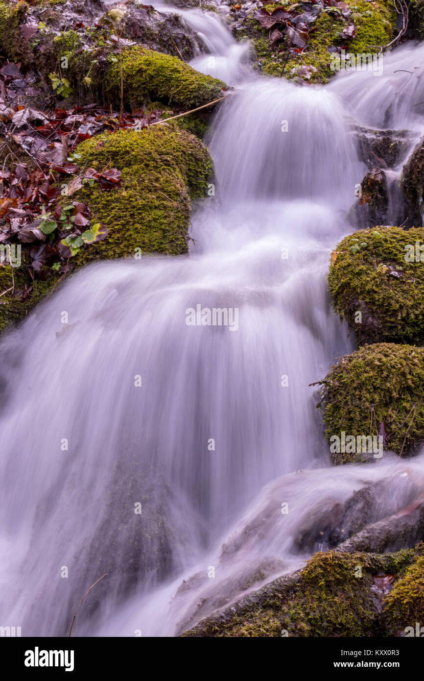 water flowing over moss close up Stock Photo - Alamy