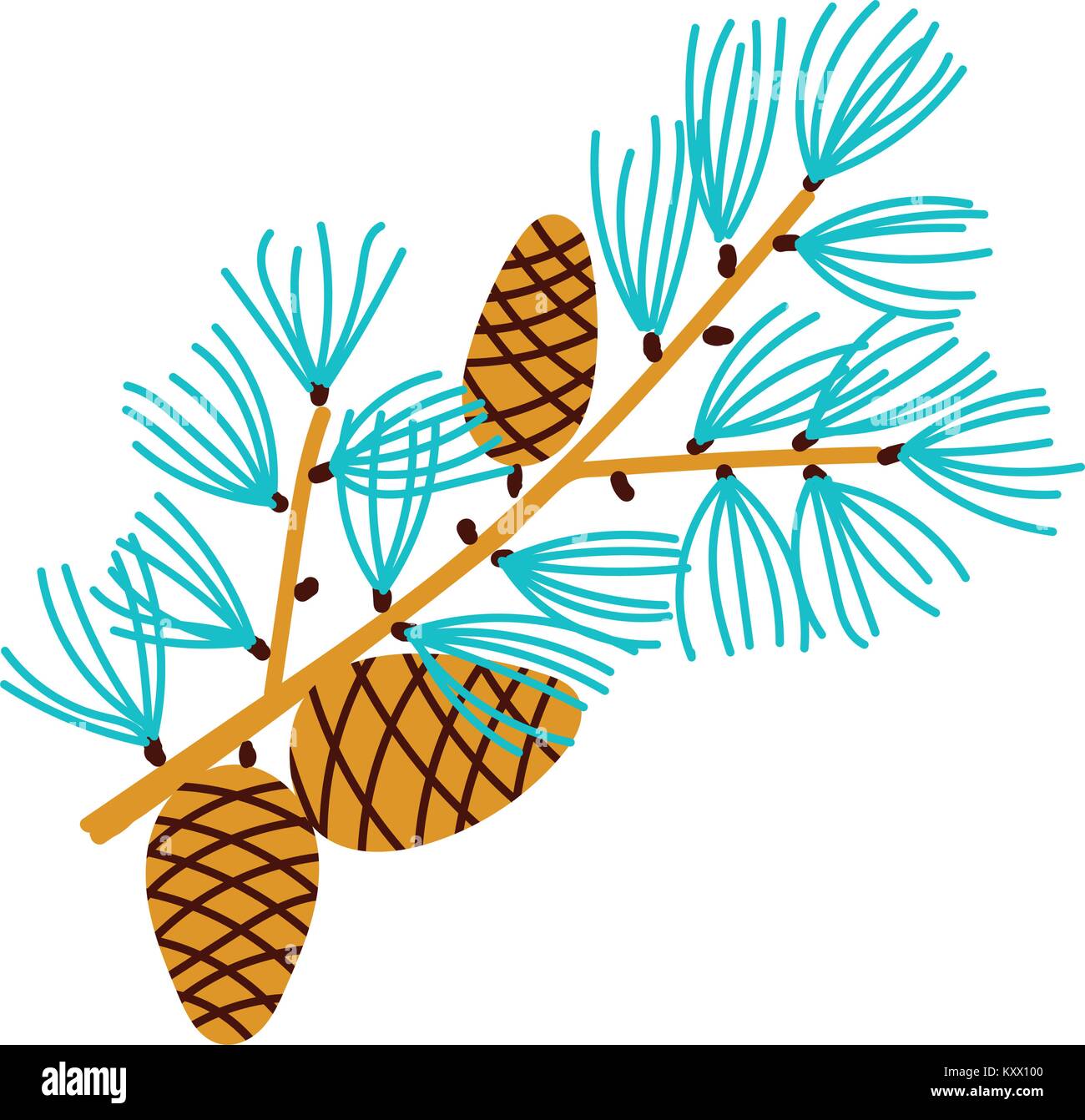 Coniferous tree pine cones Stock Vector Images - Alamy