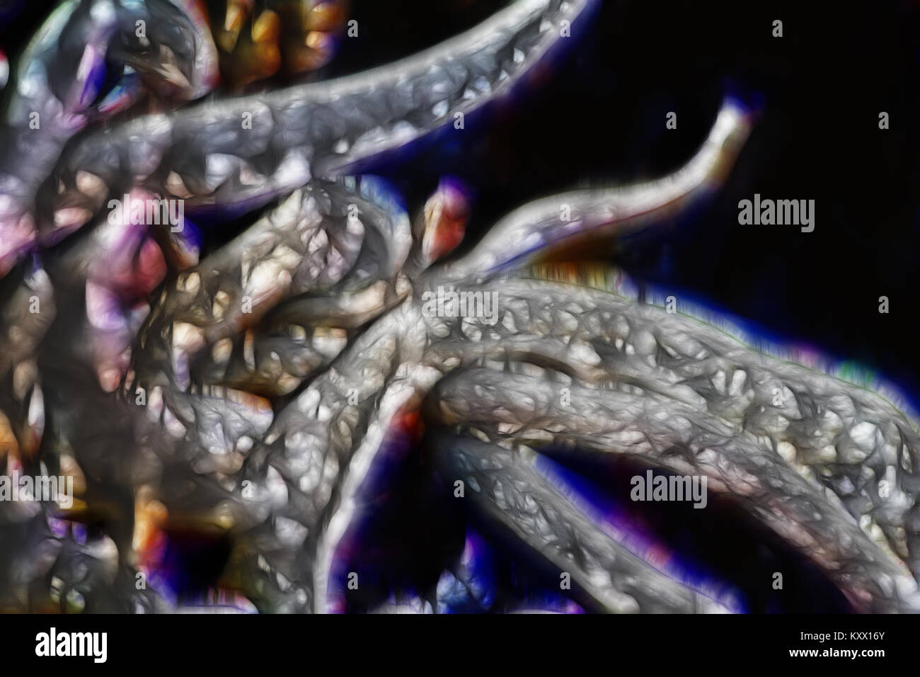 Abstract background computer generated. Like octopus, sea creature ...