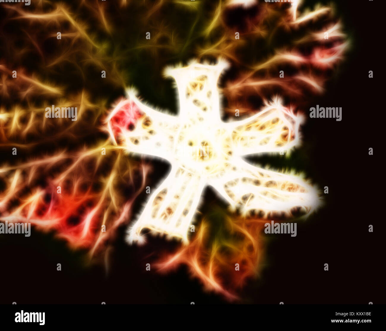 Astral effect hi-res stock photography and images - Alamy