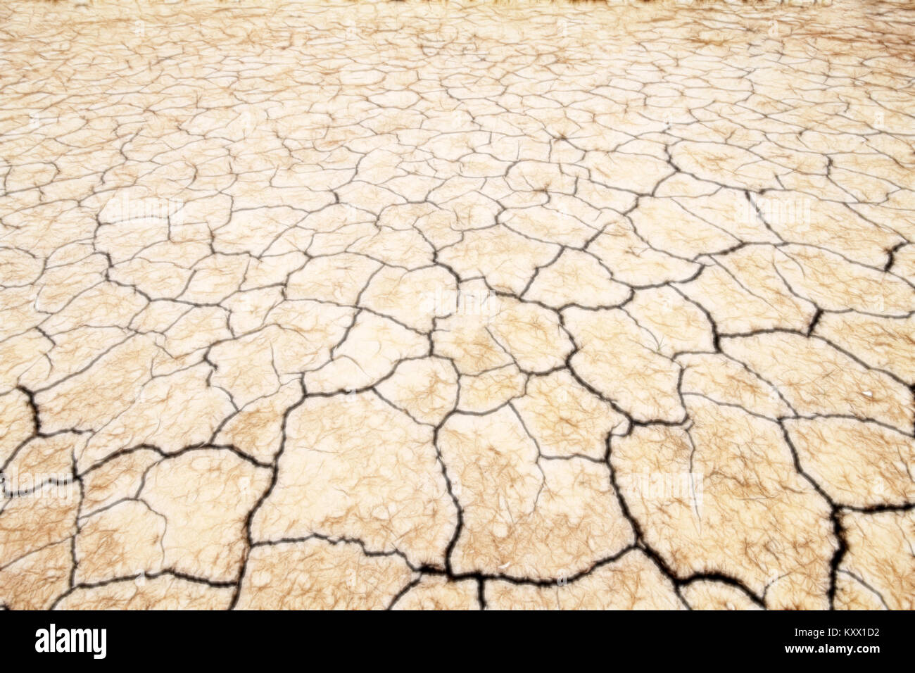 Abstract background computer generated. The concept of deadly drought ...