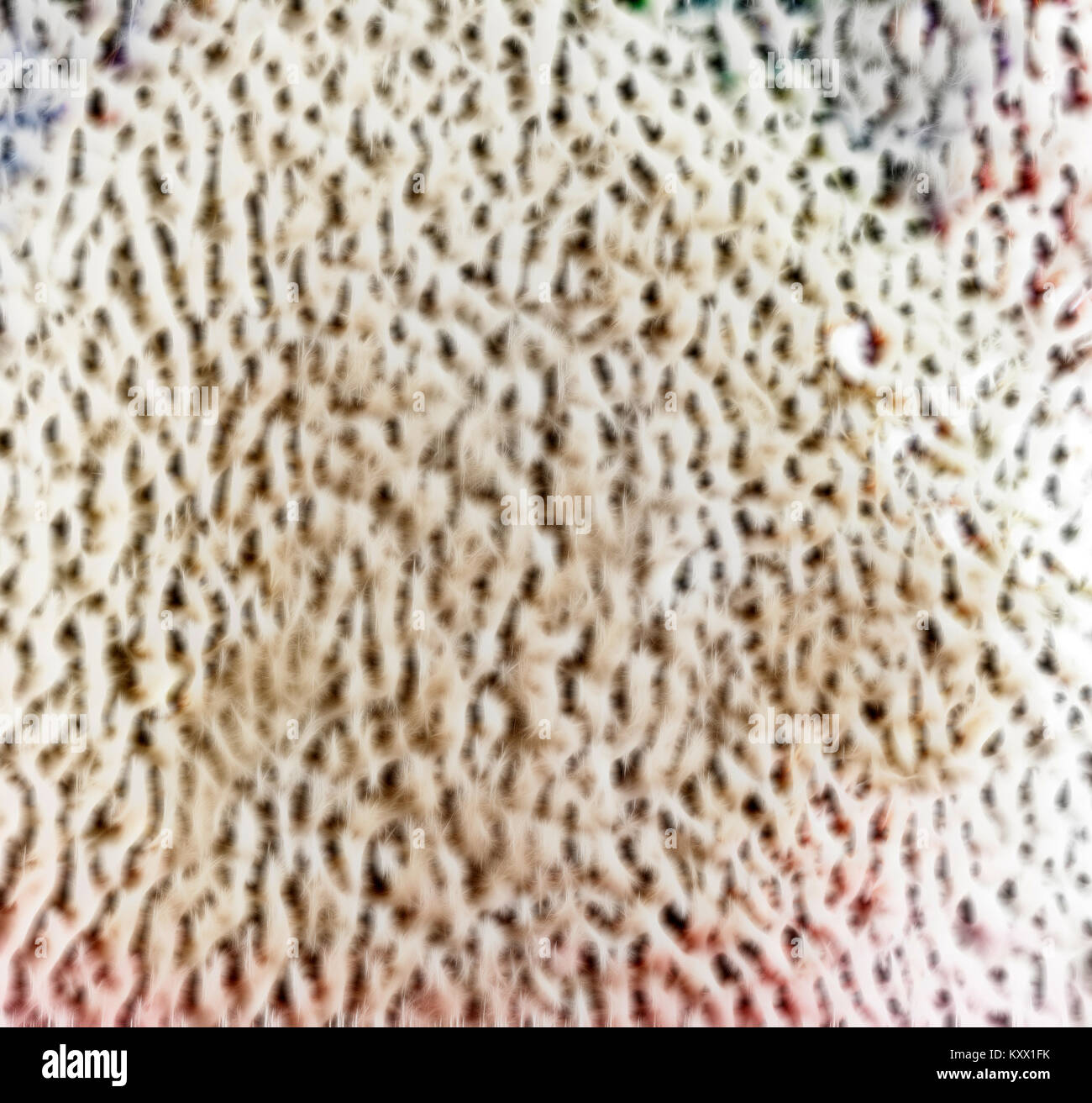 abstract background computer generated. bright segmenta surface Stock ...