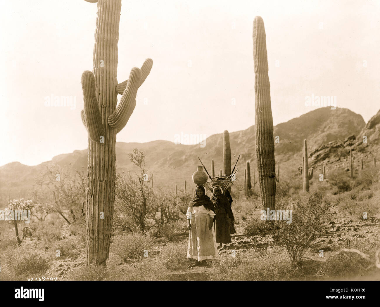 Native americans farming hi-res stock photography and images - Alamy