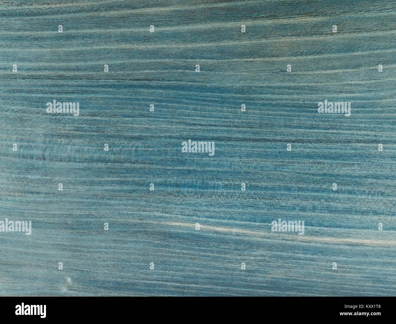 Clear structure of cherry wood saturated with blue stain, worn table ...