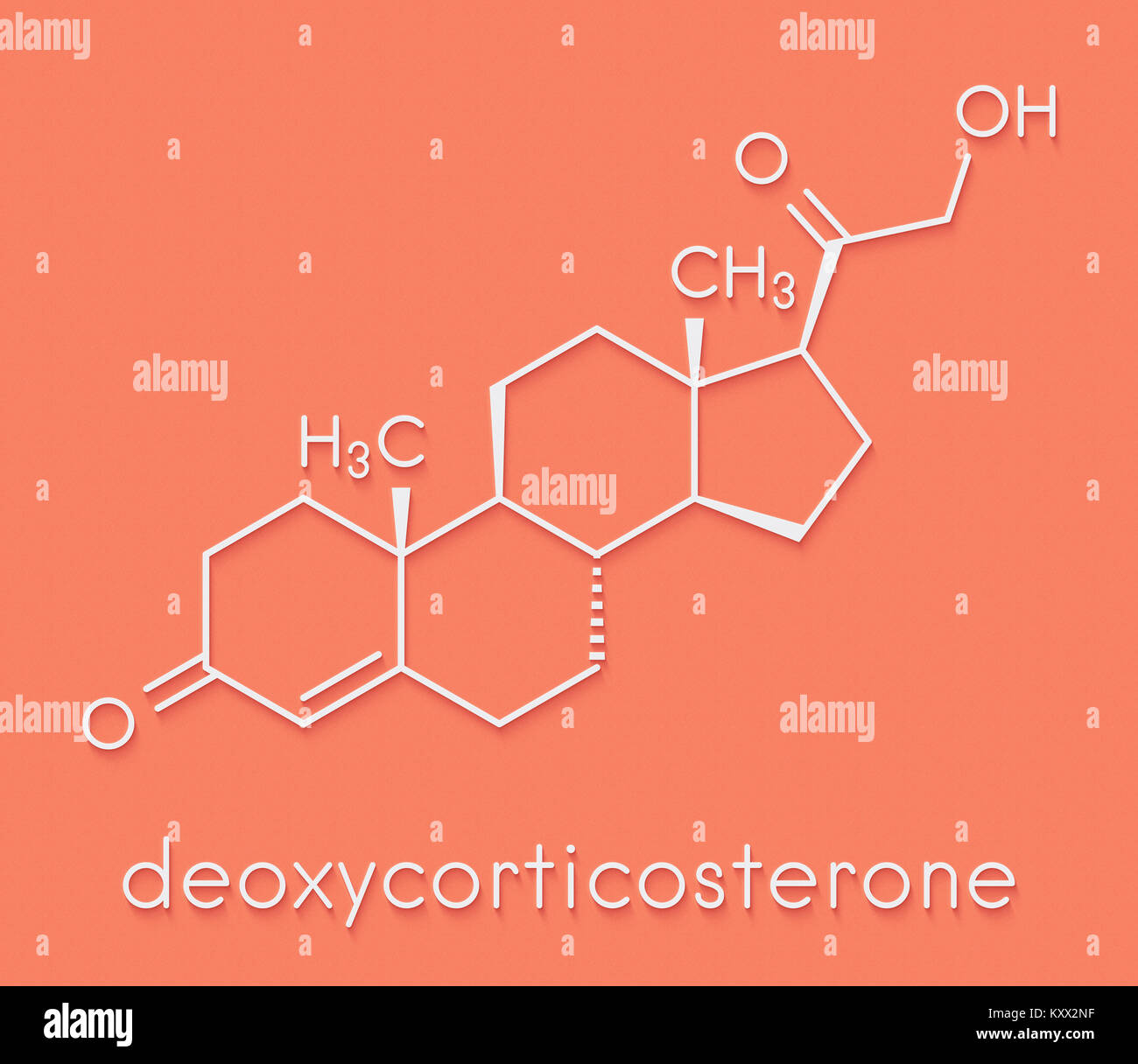 Adrenal hormone deoxycorticosterone hi-res stock photography and images ...