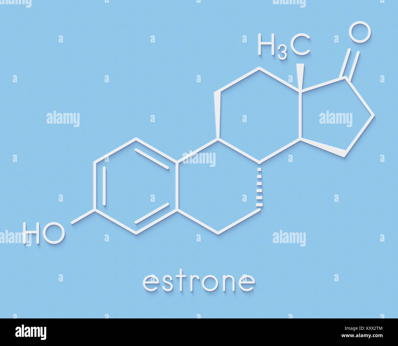 Estrone (oestrone) human estrogen hormone molecule. Skeletal formula ...