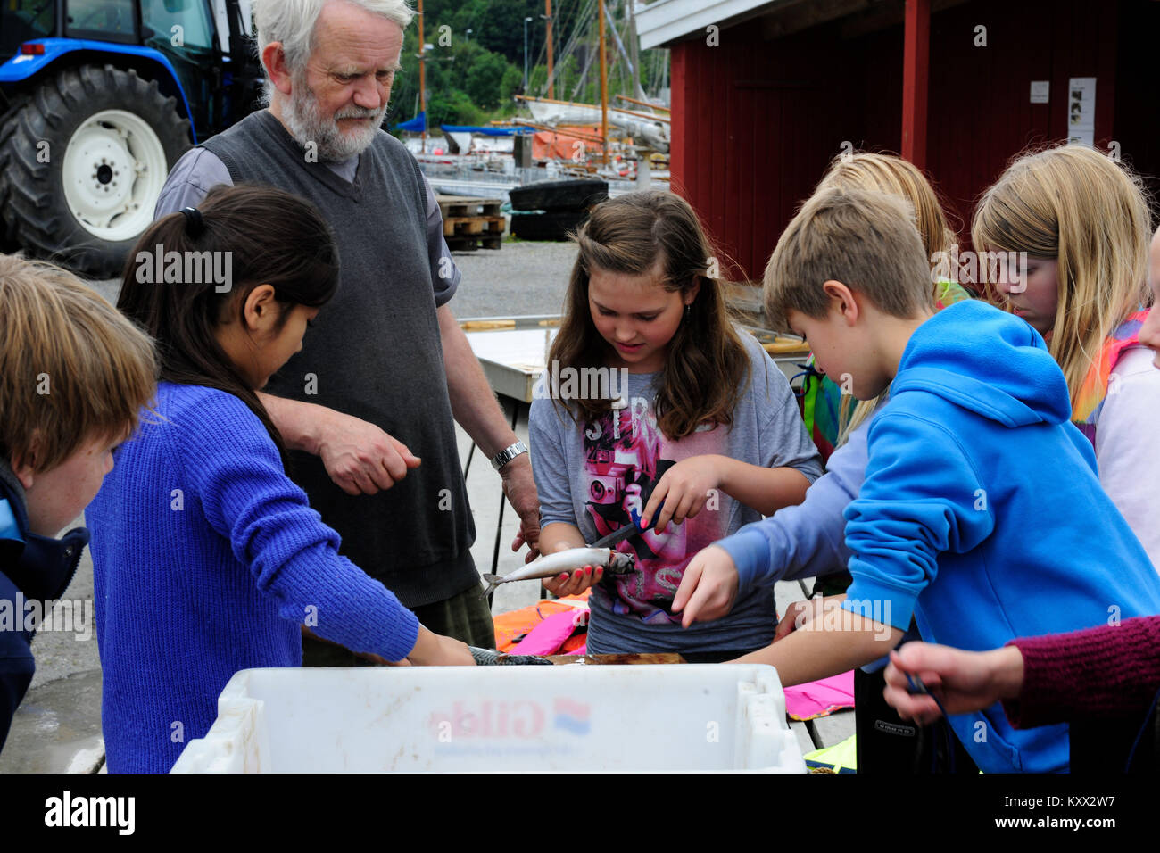 Children cleaning sea hi-res stock photography and images - Alamy