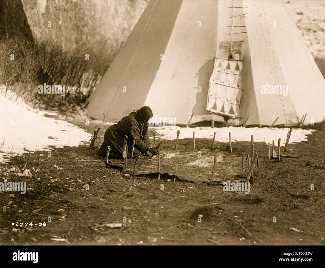 Scraping hides hi-res stock photography and images - Alamy