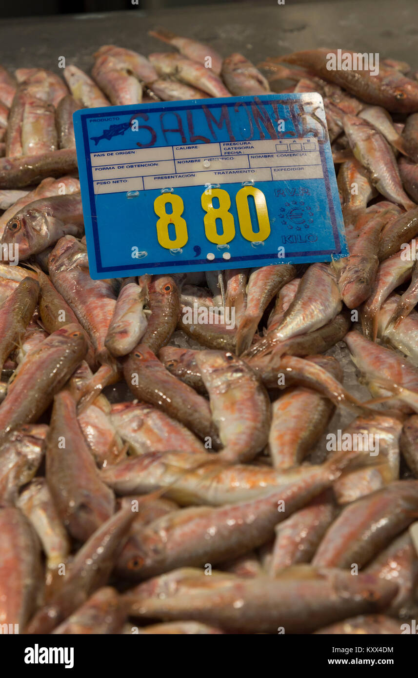 Fresh seafood for sale at Cádiz Central Market, Spain Stock Photo - Alamy
