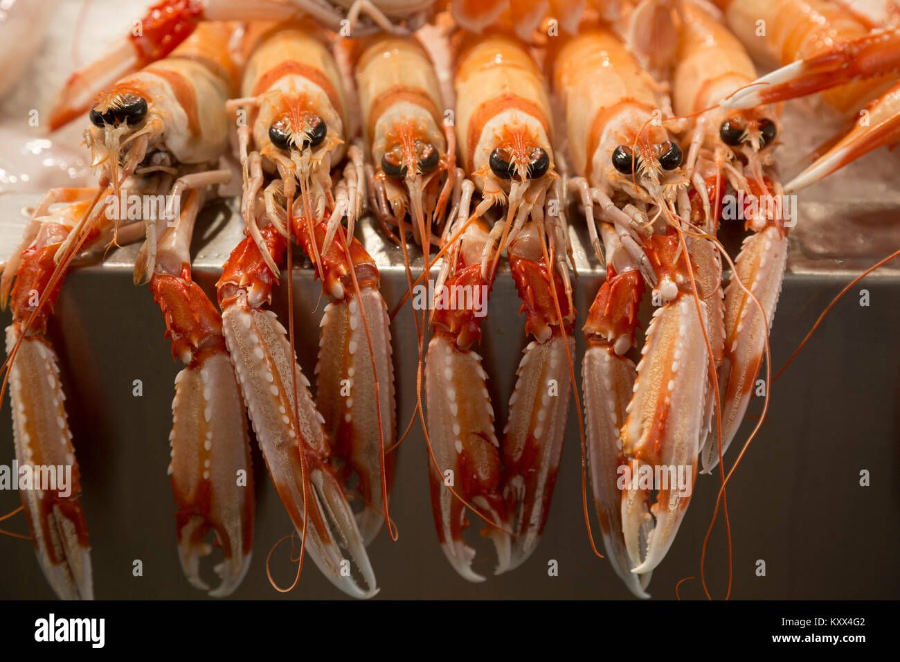 Cadiz fish market hi-res stock photography and images - Alamy