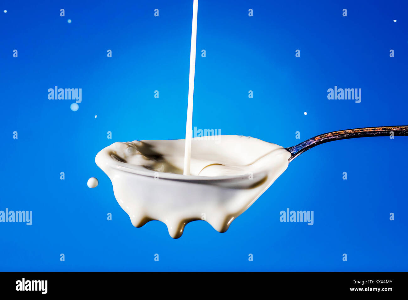 Milk with spray pours into the spoon on a blue background Stock Photo ...