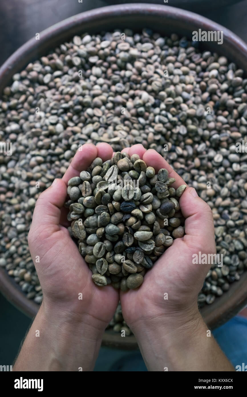 Coffee beans in hand Stock Photo - Alamy