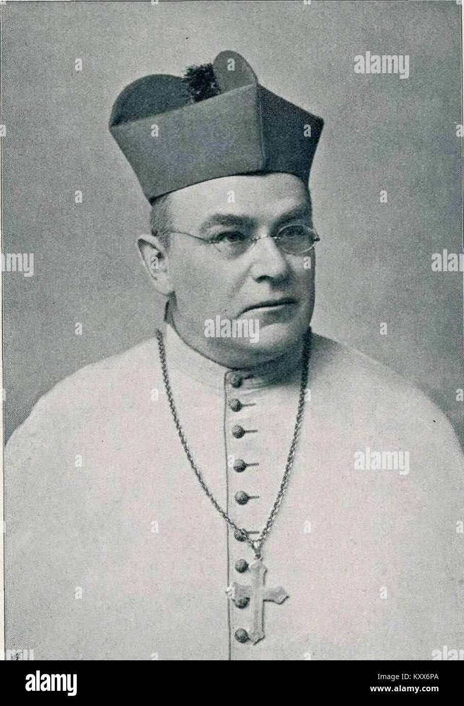 This image is a portrait of Francisek Sedej, an individual notable for ...
