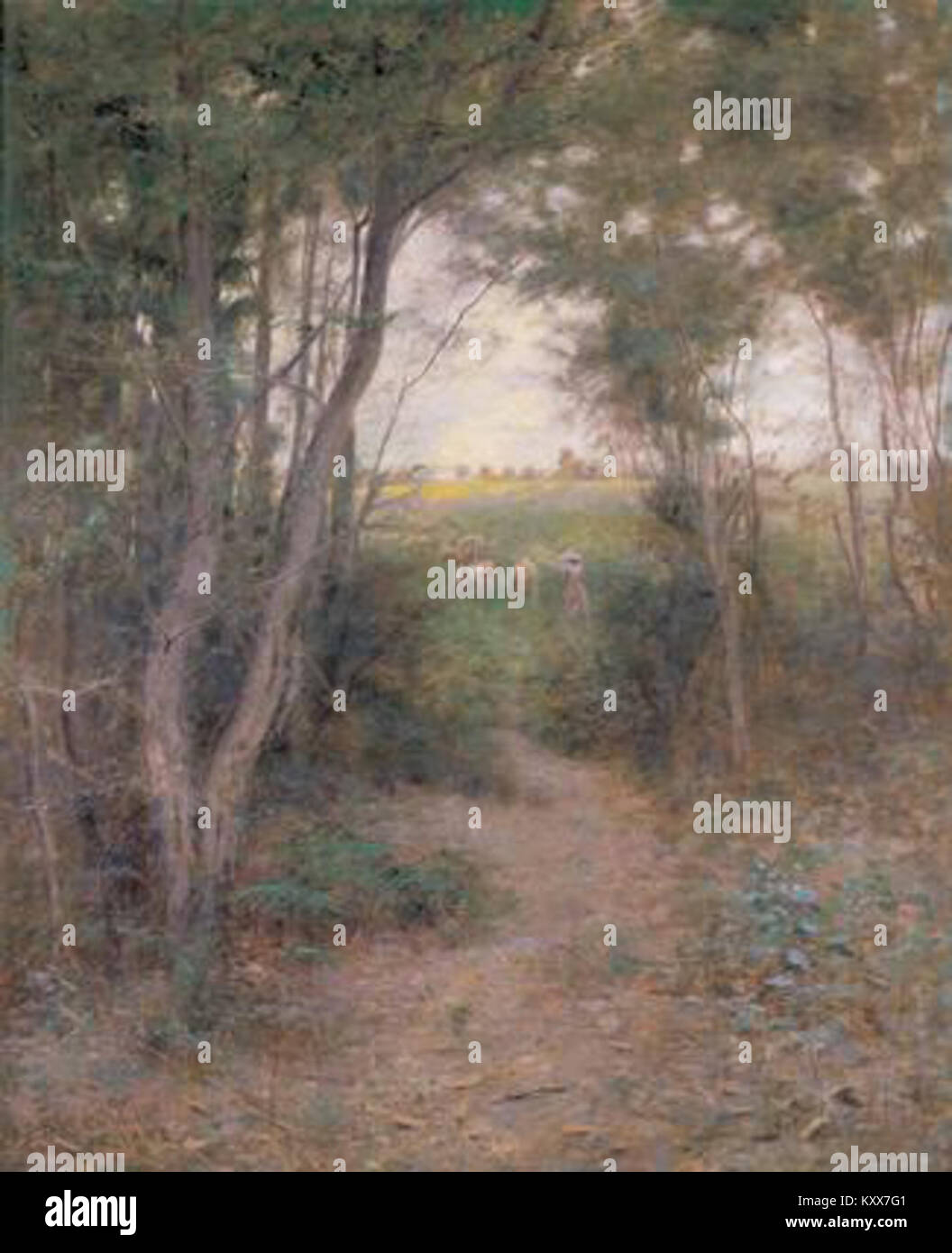 Ti tree glade hi-res stock photography and images - Alamy