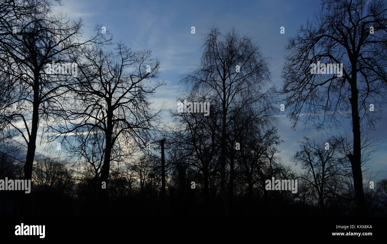 Winter, trees, blue sky background Stock Photo - Alamy
