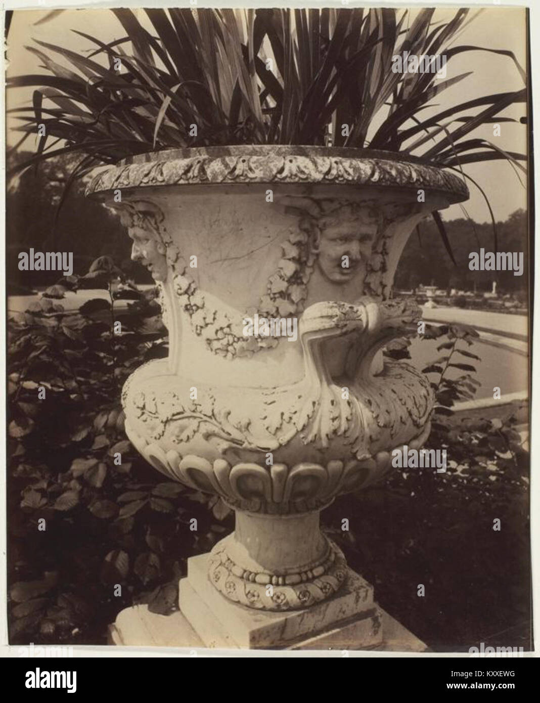 Monochrome royal photograph 1905 hi-res stock photography and images ...